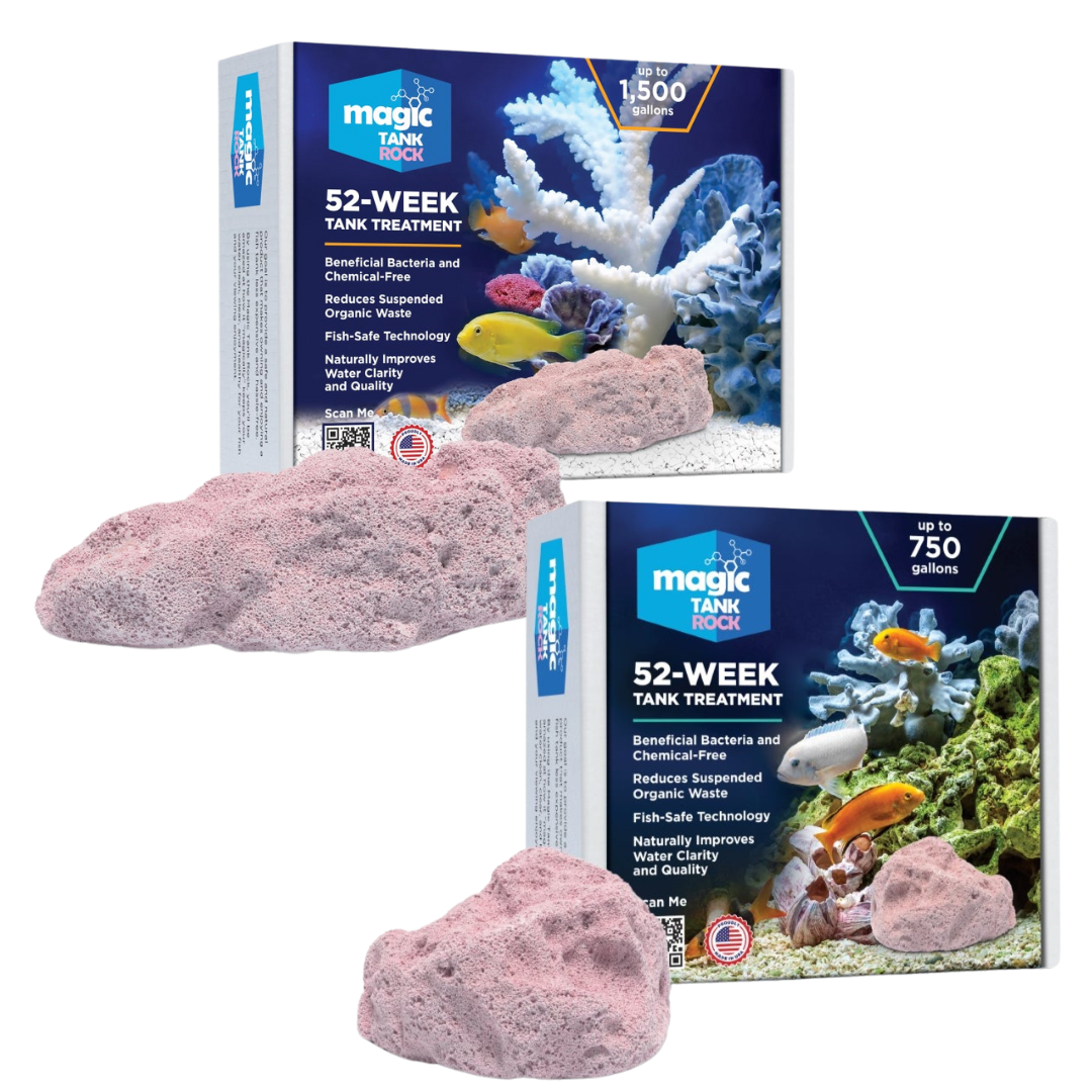 The Magic Tank Rock Medium & Small Bundle – Nannoverse Technologies, LLC
